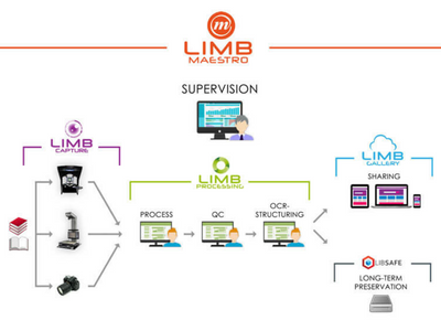LIMB Scanning Software